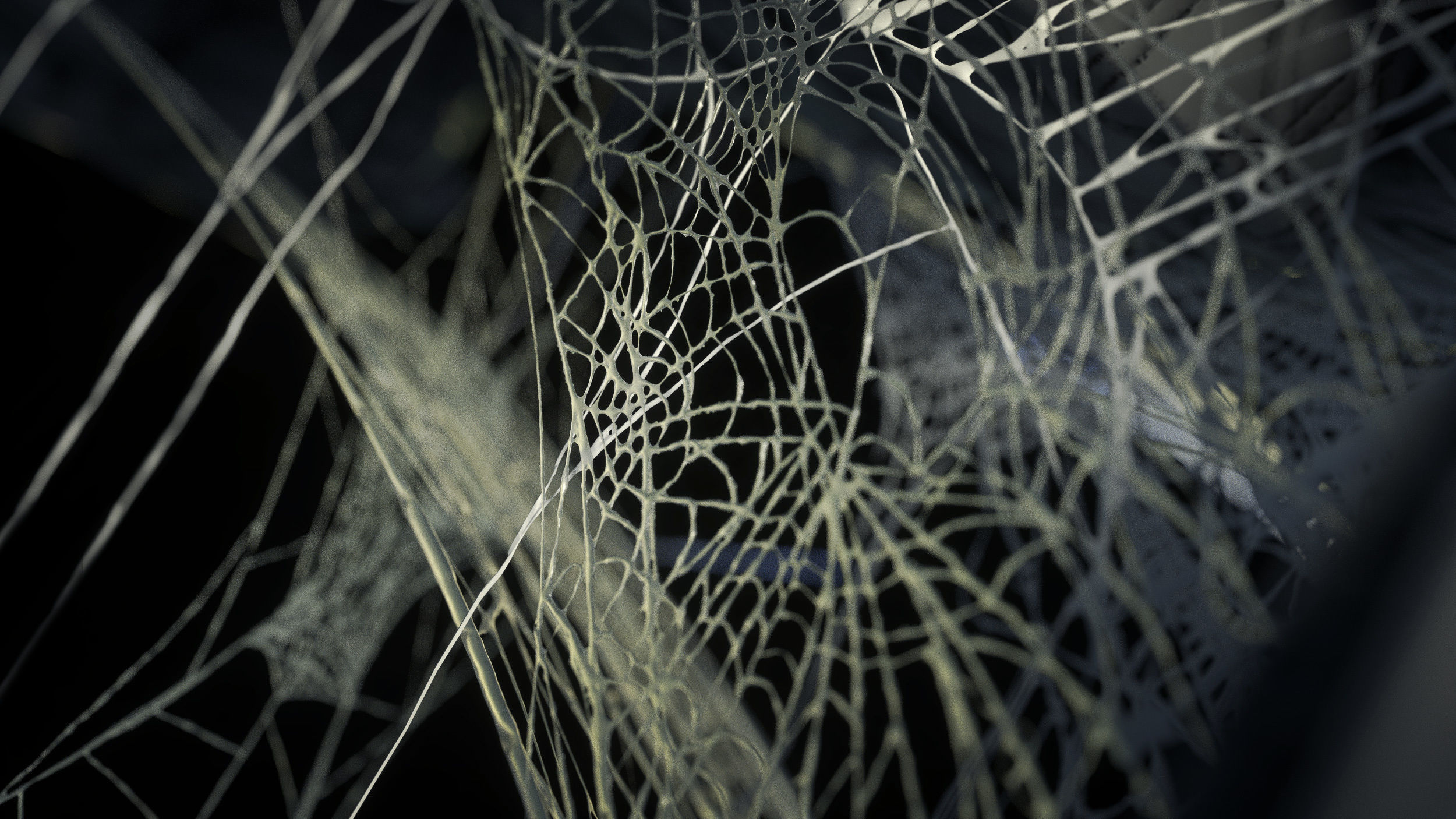 12 Cobwebs 3D models with tutorial for Blender and Zbrush 3D model ...