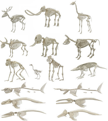 Animal Skeleton Collection 18 in 1 | CGTrader