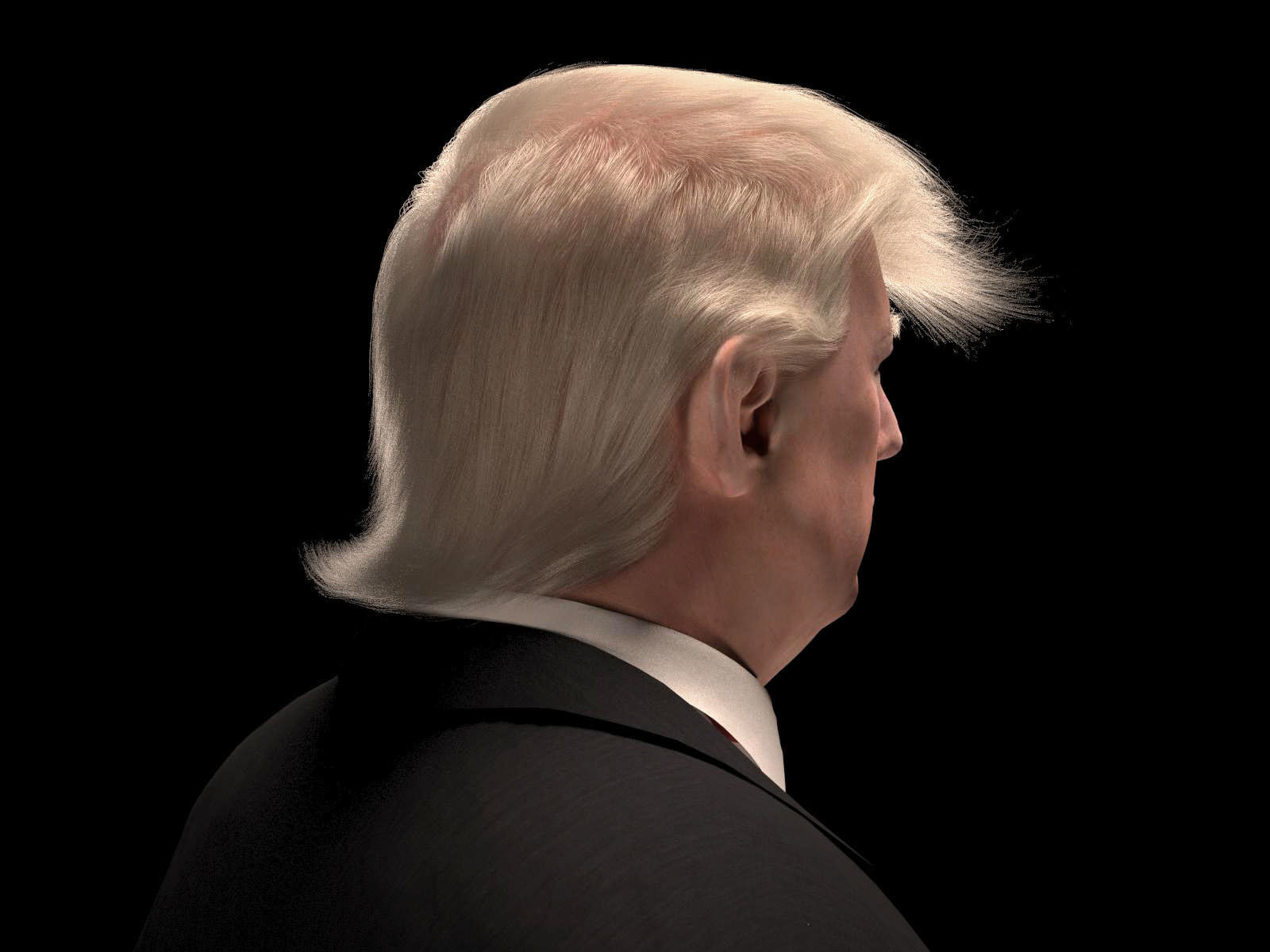 Donald Trump 3D model rigged | CGTrader