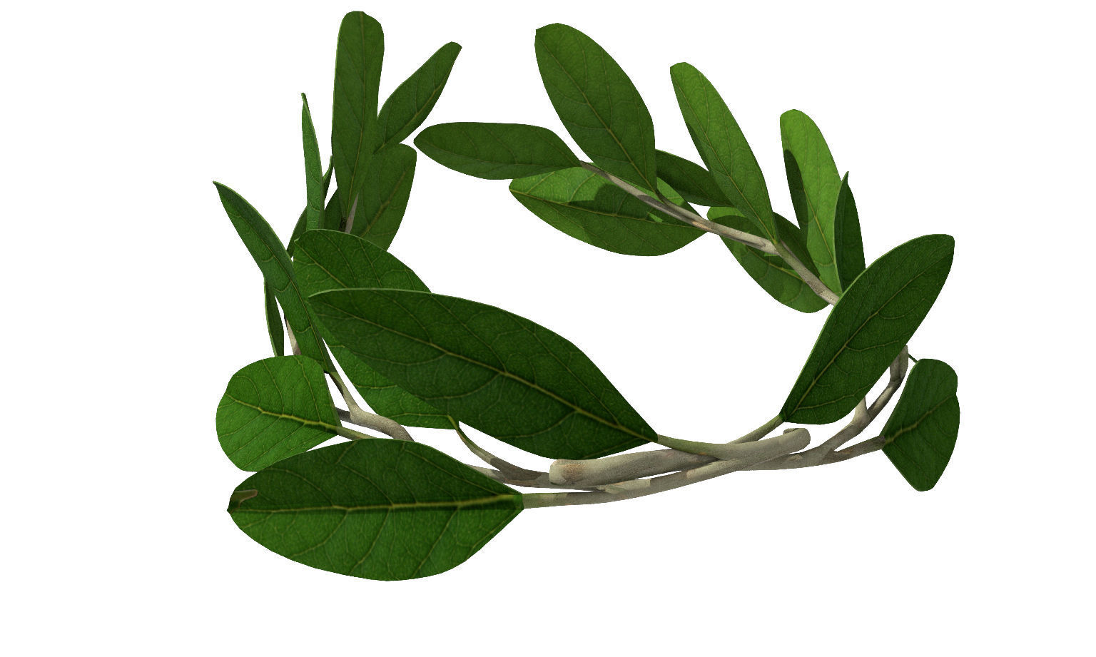 3D model Laurel Wreath VR / AR / low-poly | CGTrader