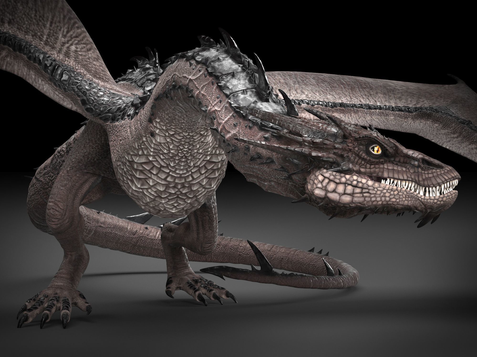 Smaug Hobbit Dragon 3D model rigged | CGTrader