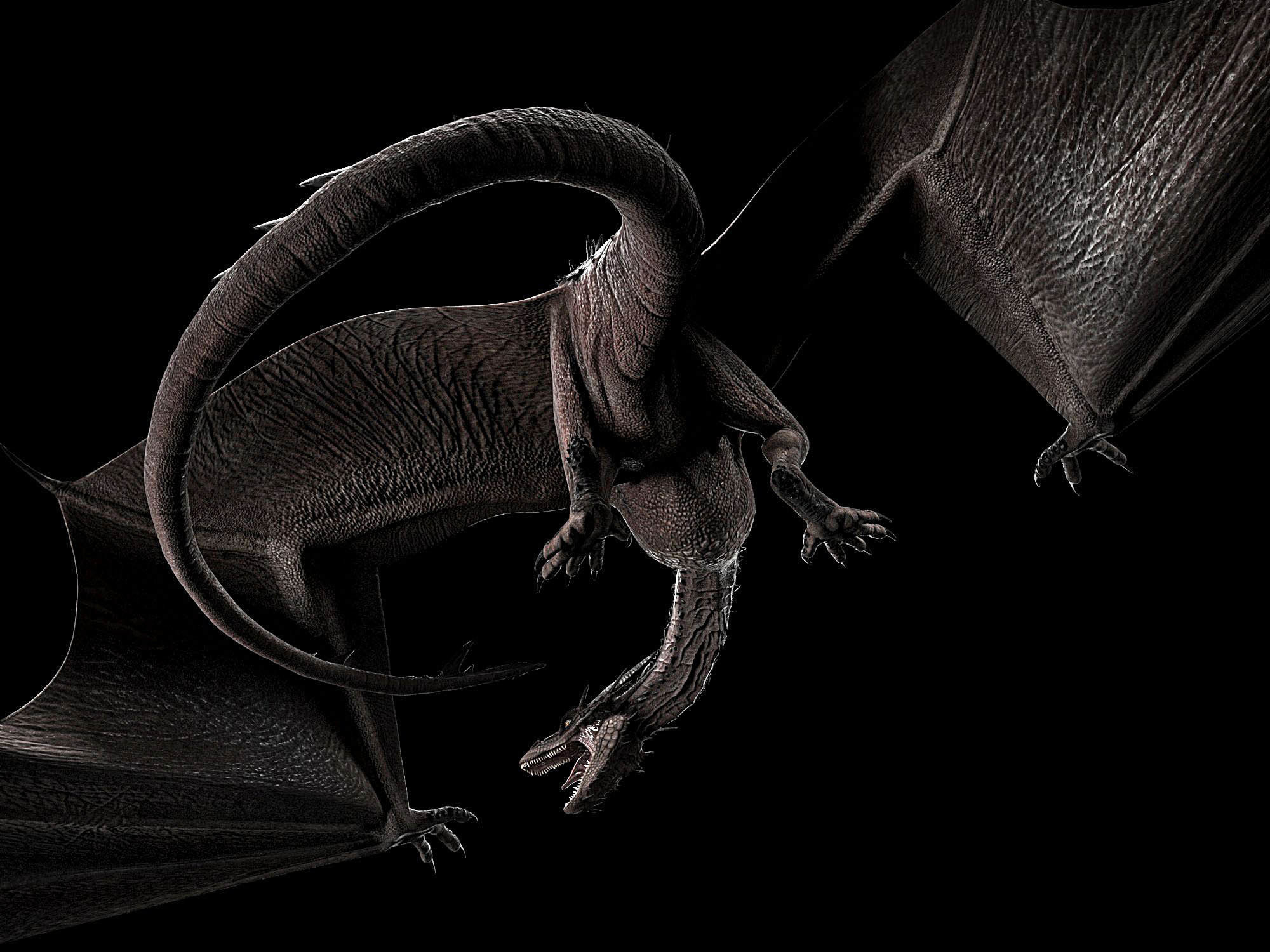 Smaug Hobbit Dragon 3D model rigged | CGTrader