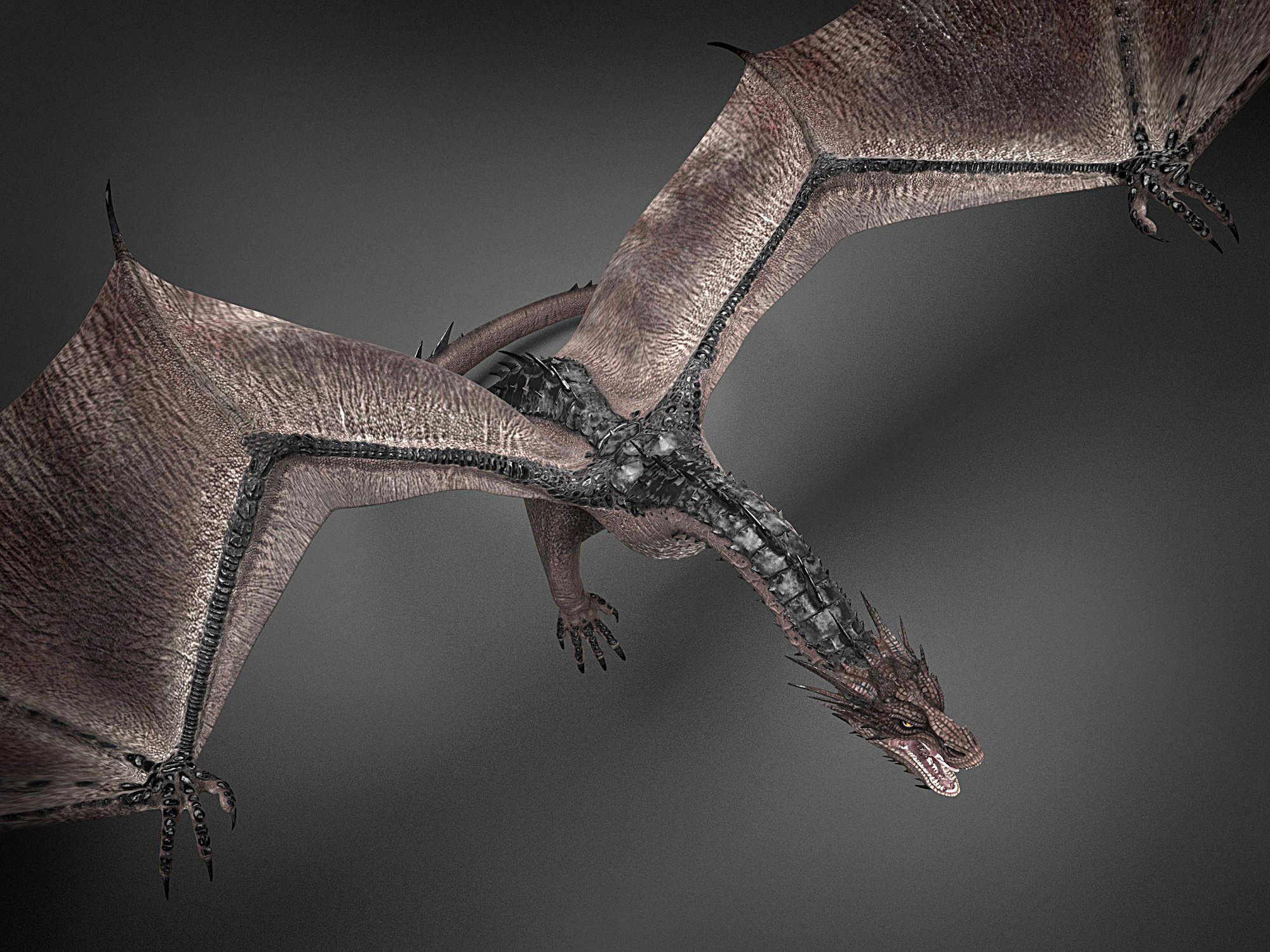 Smaug Hobbit Dragon 3D model rigged | CGTrader