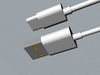 TYPE C USB CABLE 3D model 3D model 3D printable | CGTrader