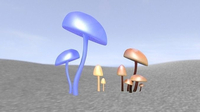 3D model Shrooms 2 group of mushrooms in desert VR / AR / low-poly ...