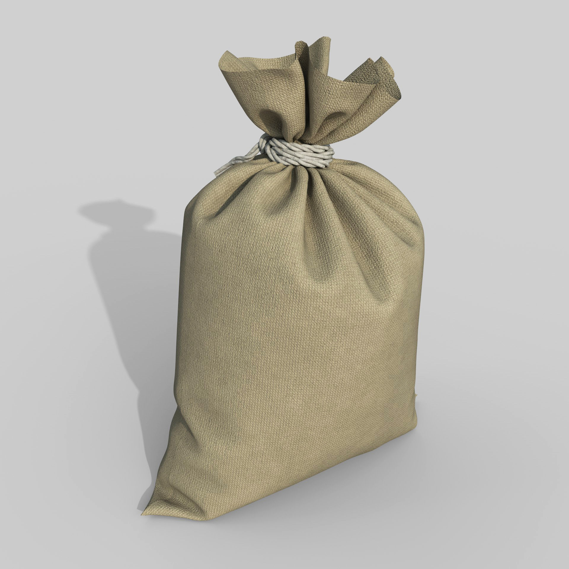 Money Bag 3D model | CGTrader