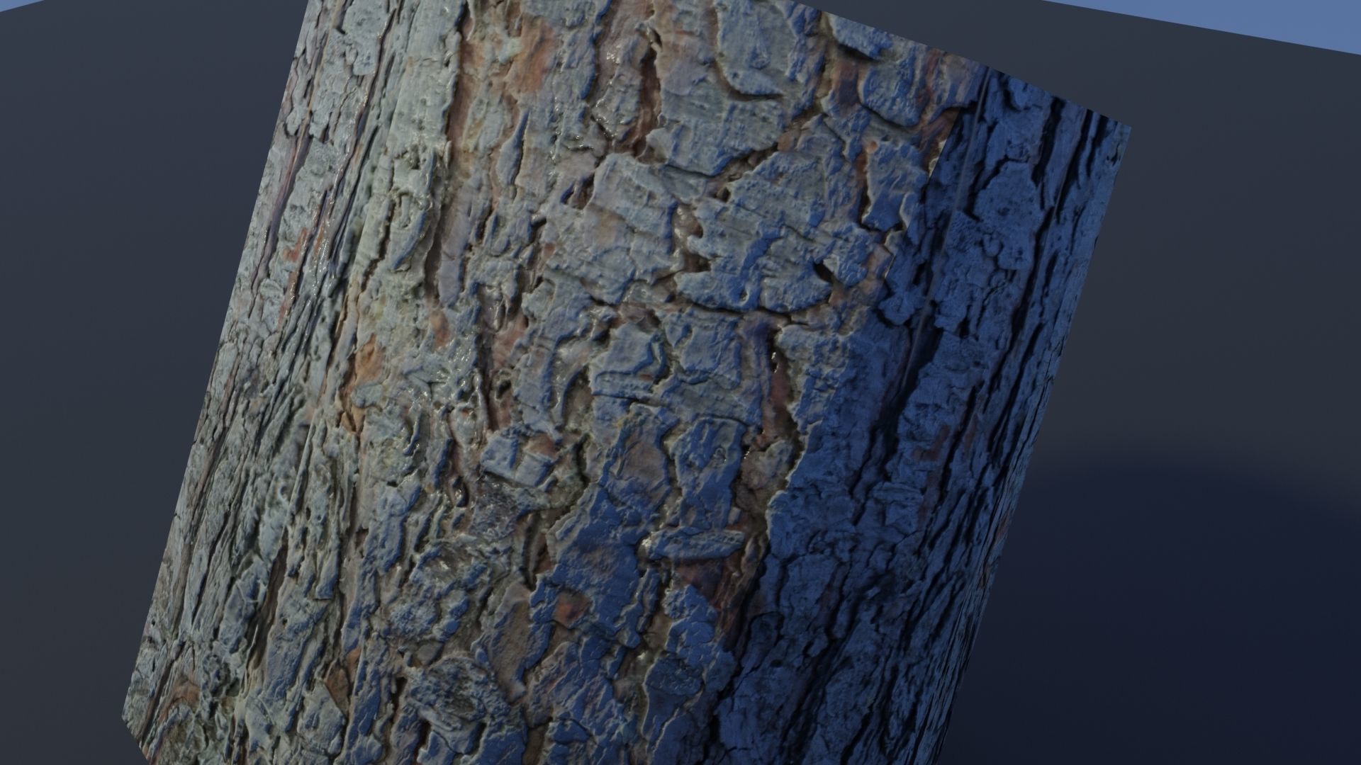 photo wood texture hdr free Texture | CGTrader
