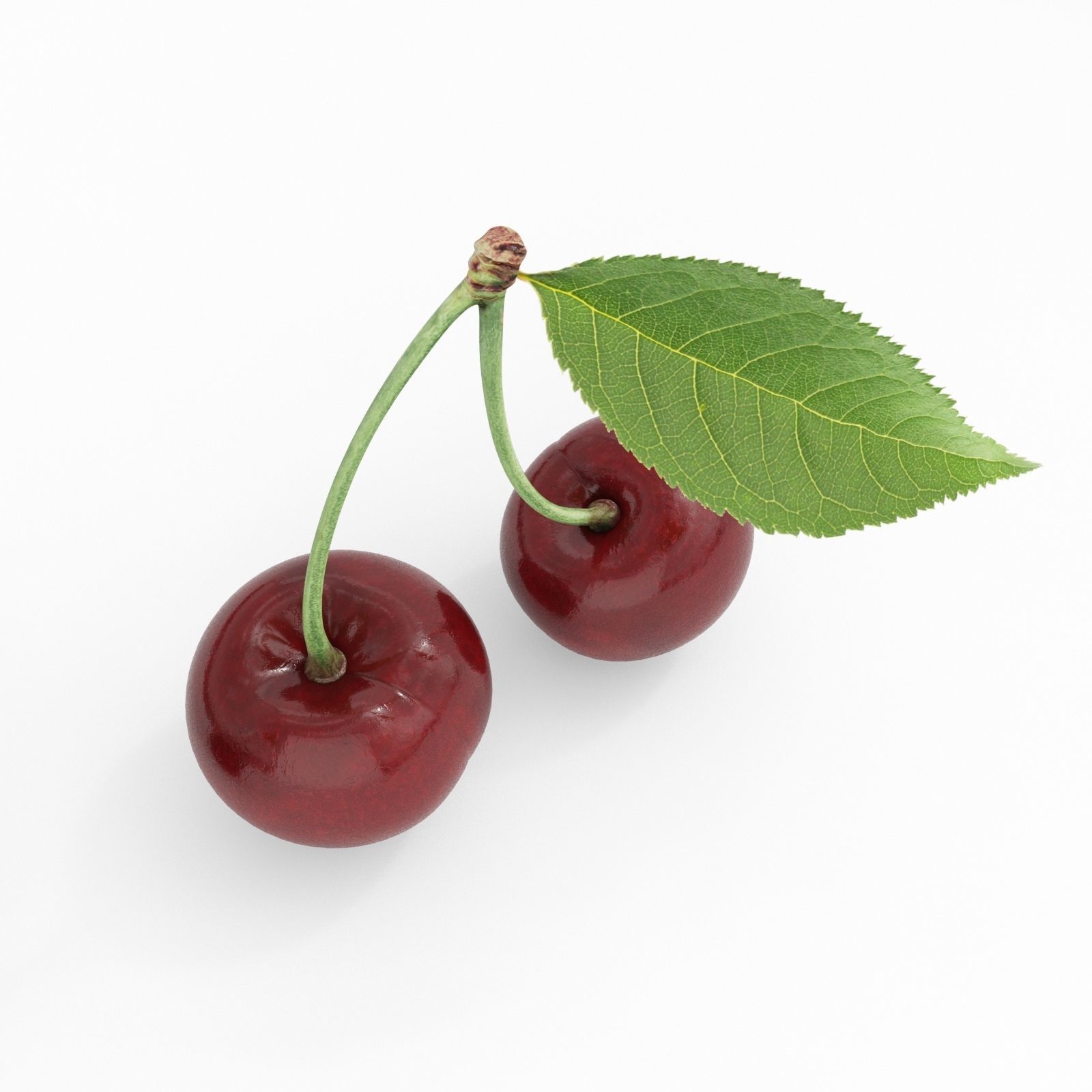 Cherry two cherries 3D model | CGTrader