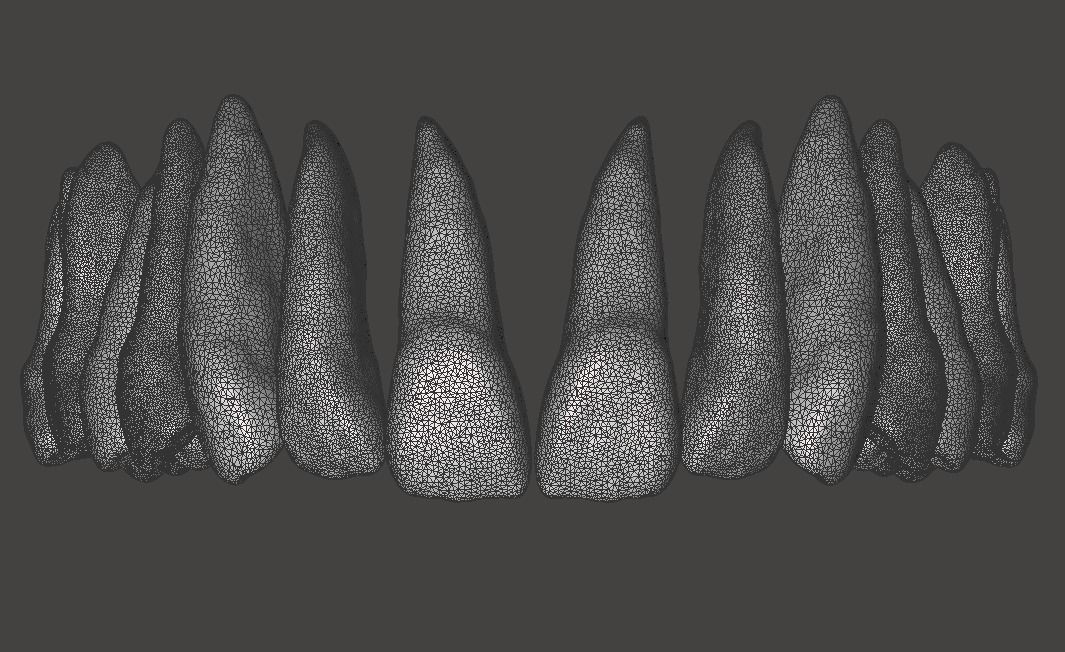 Maxillary human teeth full arch 3D model 3D printable | CGTrader