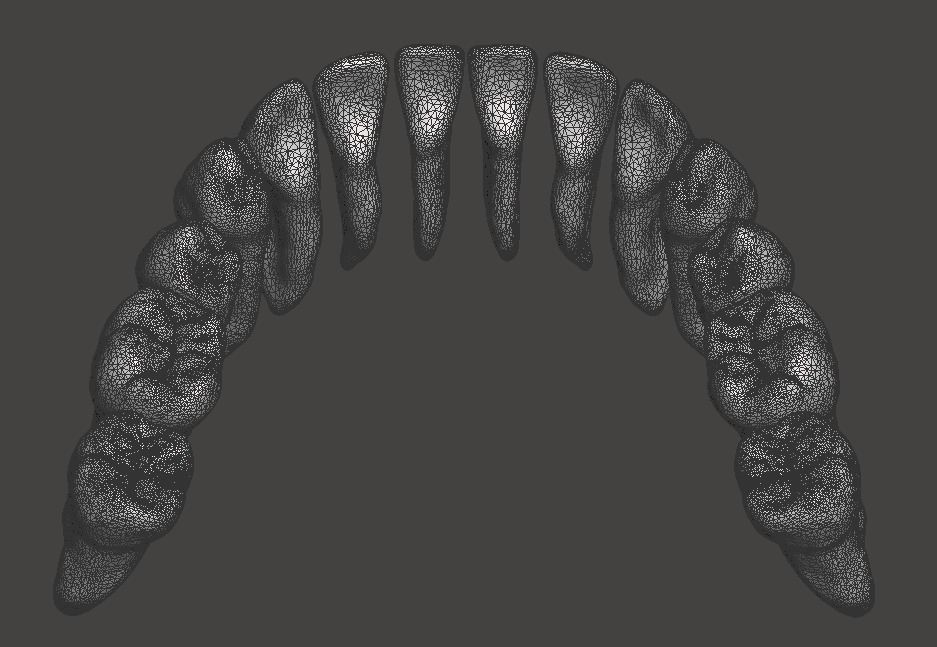 Mandibular real human teeth full arch 3D model 3D printable | CGTrader