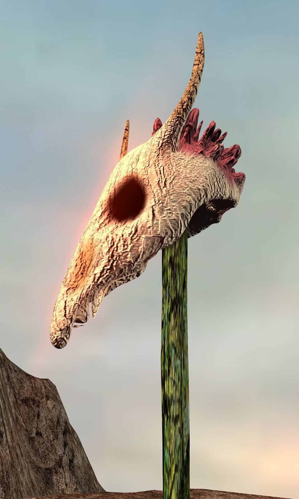 3D model Beak Ox Skull VR / AR / low-poly | CGTrader