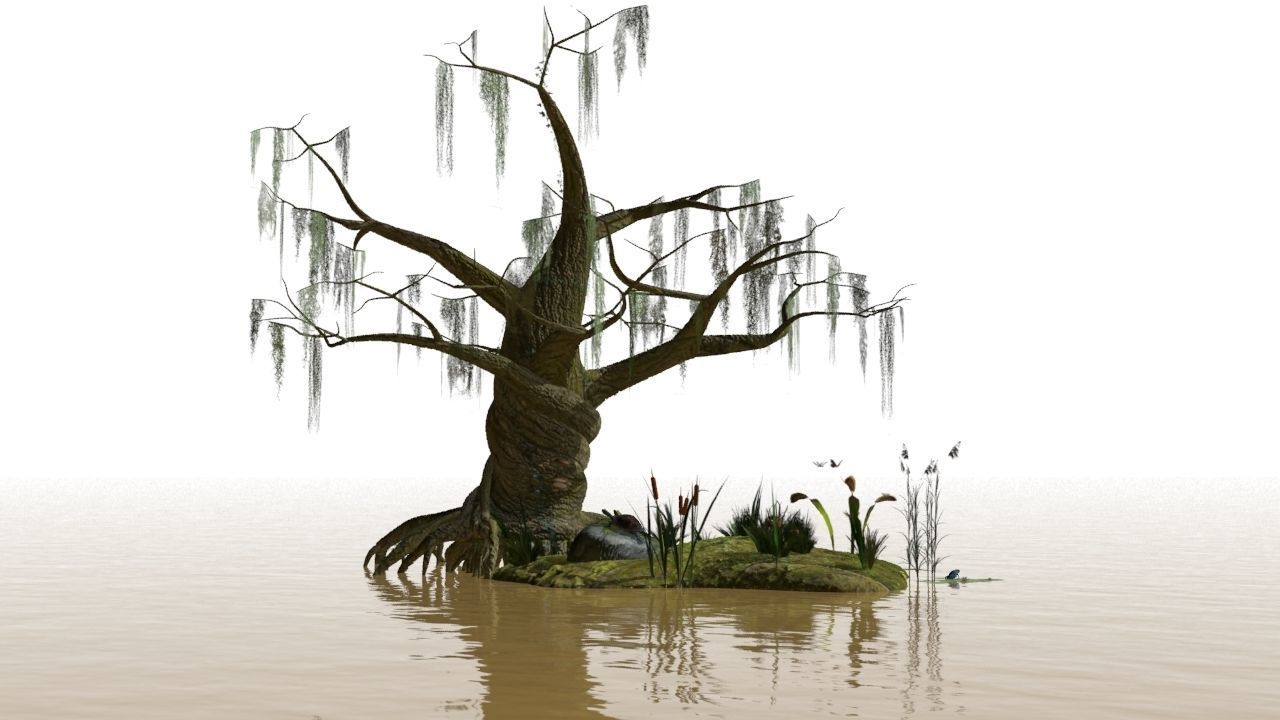 swamp assets 3D model | CGTrader