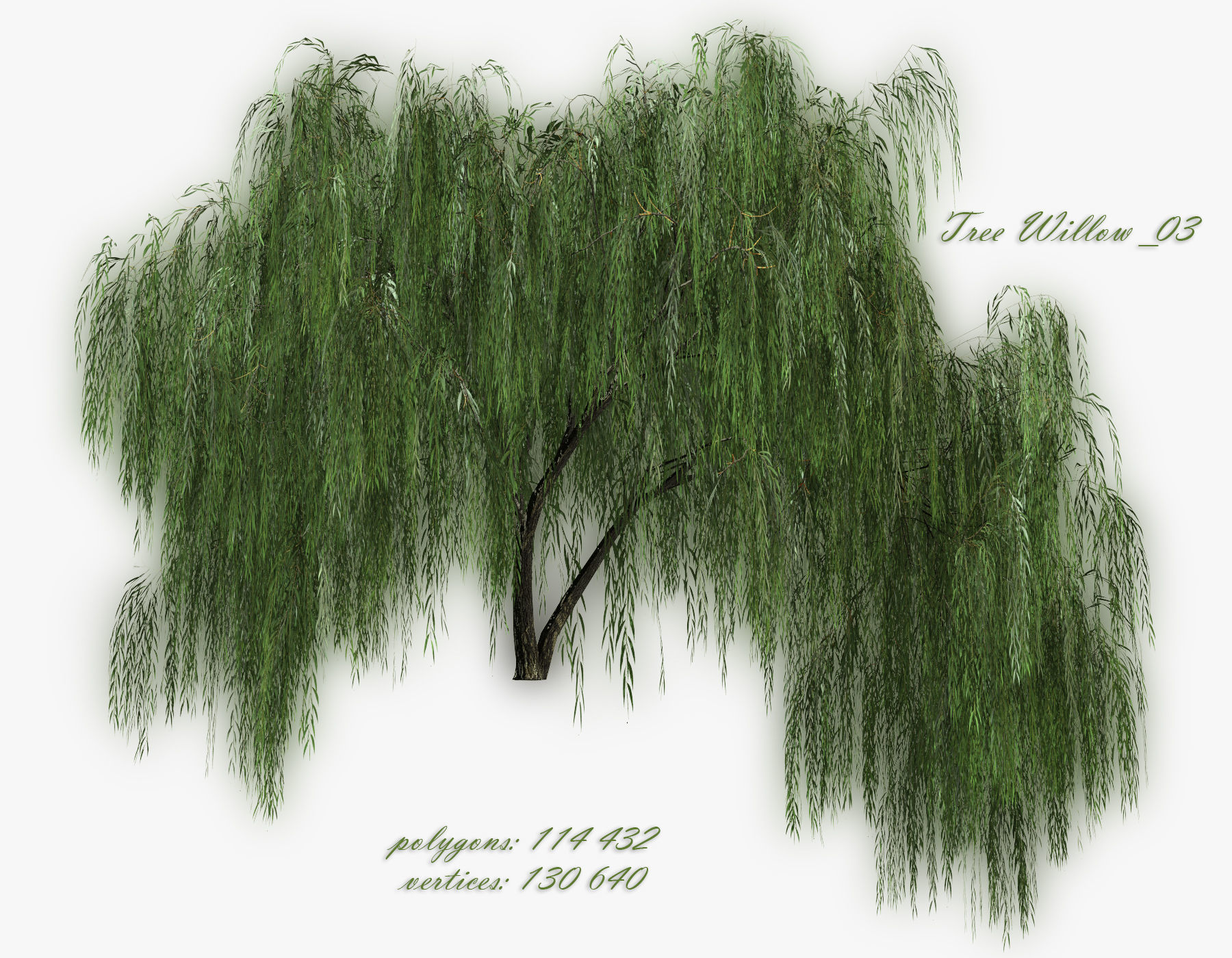 Set Tree Willow 3D model | CGTrader