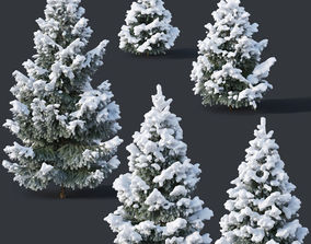 Winter tree 3D Models | CGTrader