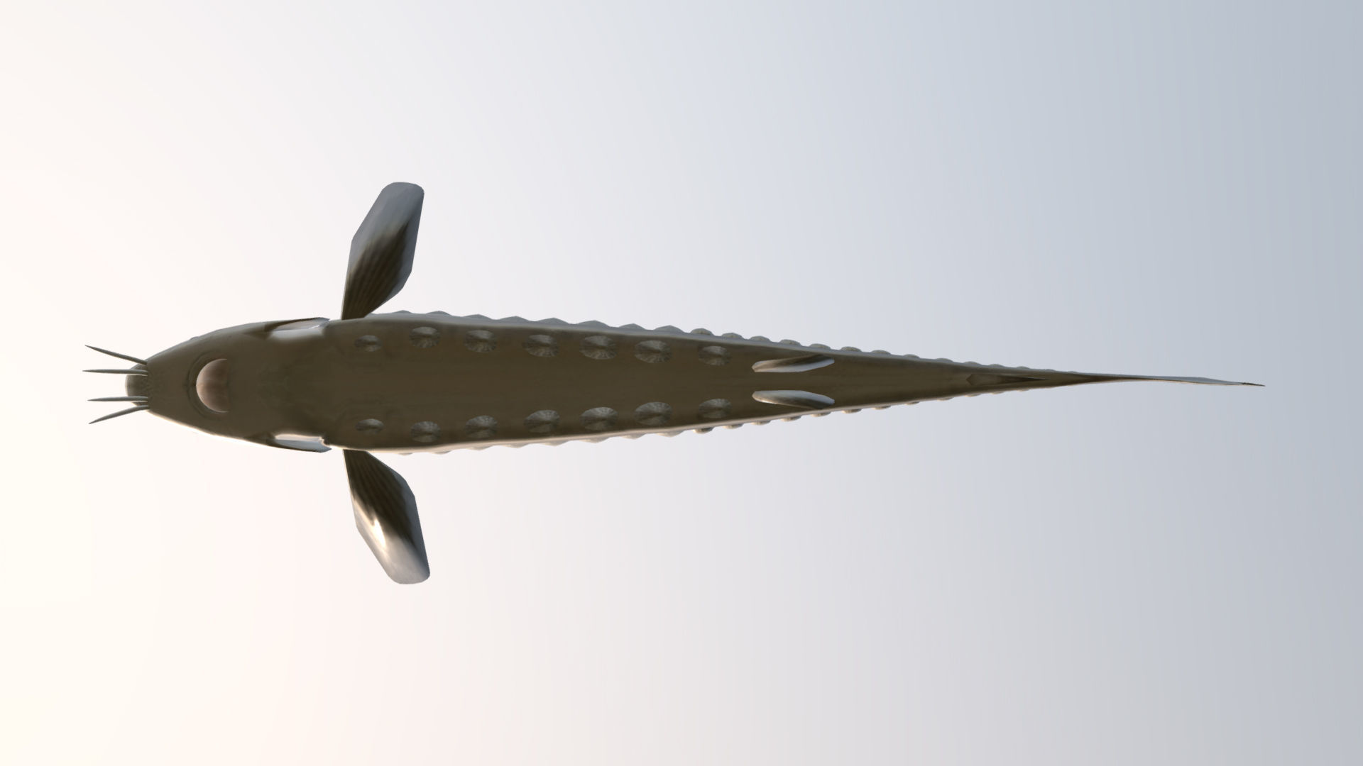 3D model 3d model Russian sturgeon VR / AR / low-poly rigged animated ...