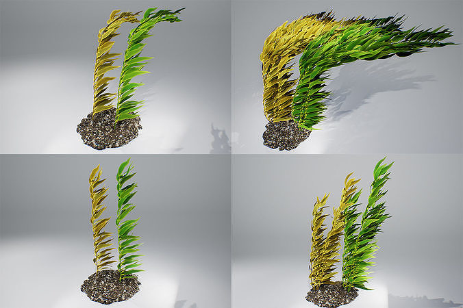 Kelp collection 3D model | CGTrader