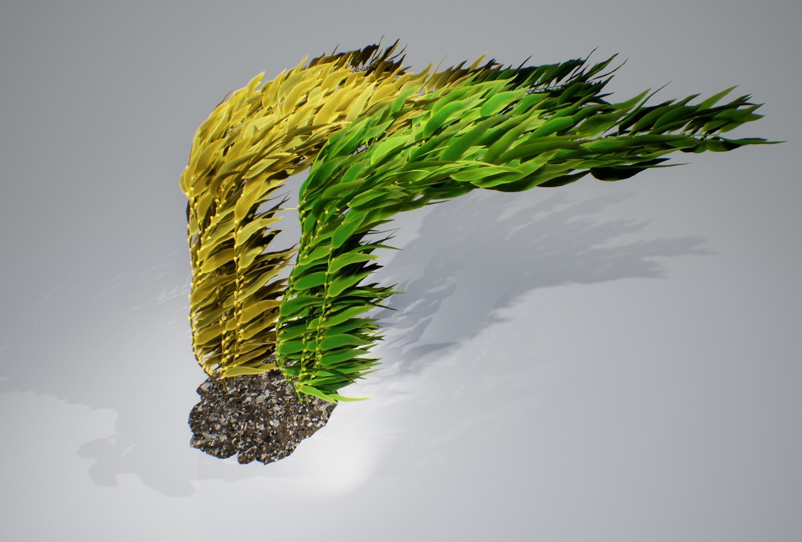 Kelp collection 3D model | CGTrader