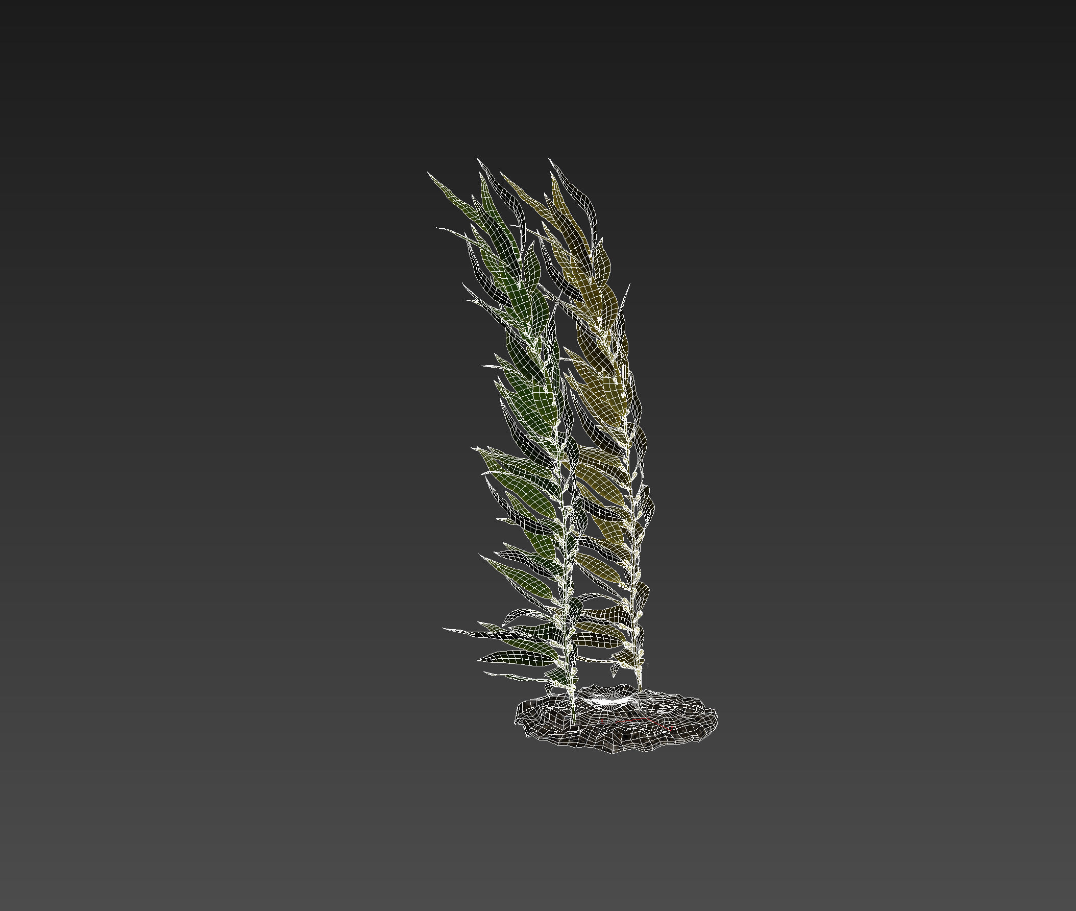 Kelp collection 3D model | CGTrader