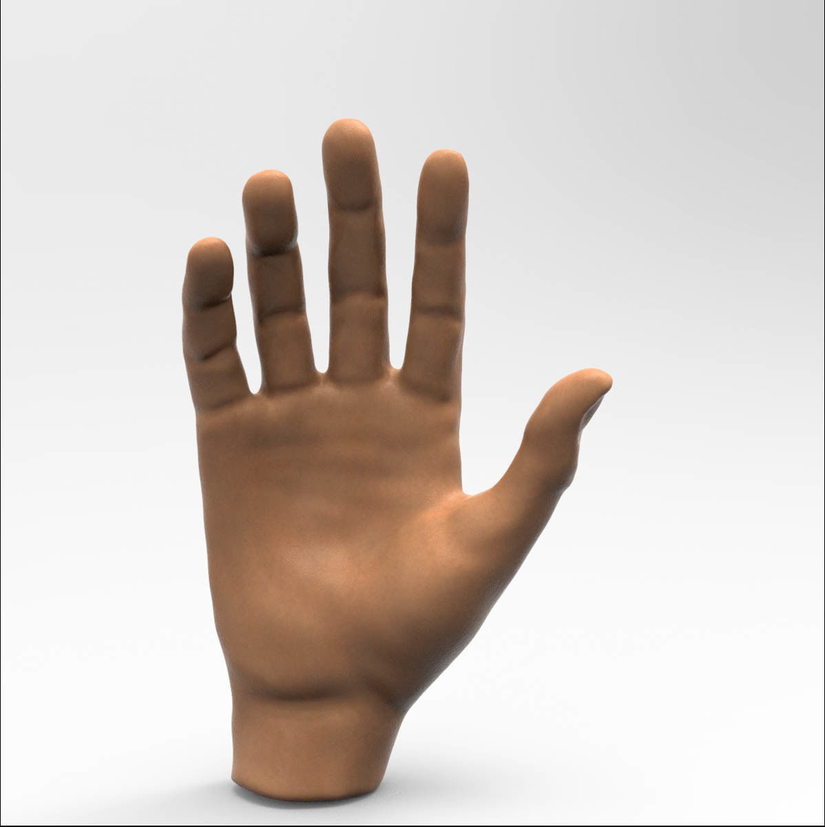 Human Hand 3D model | CGTrader