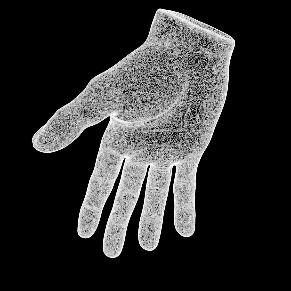 Human Hand 3D model | CGTrader