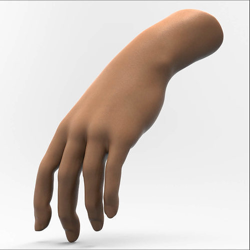 Human Hand 3D model | CGTrader