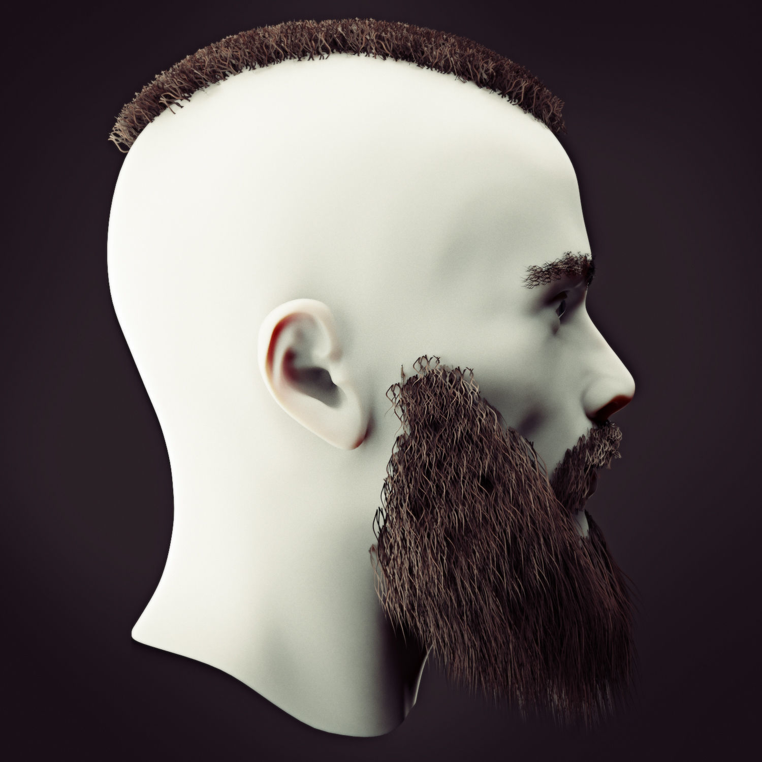 Hairstyle and Beard Low Poly 3D model | CGTrader
