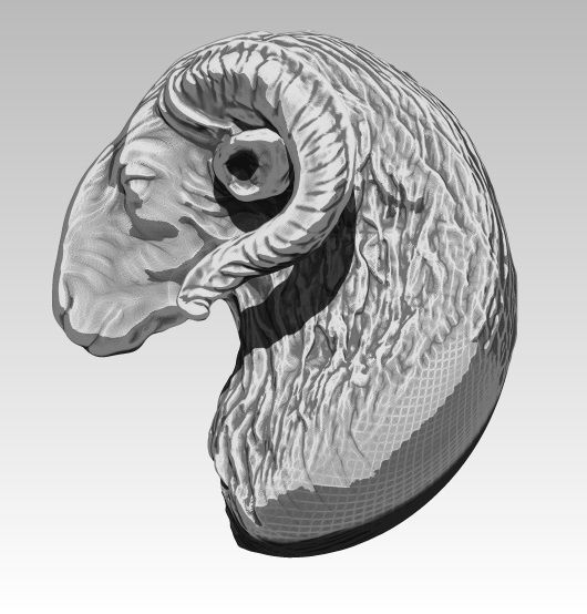 Detailed Ram head 3D model 3D printable | CGTrader