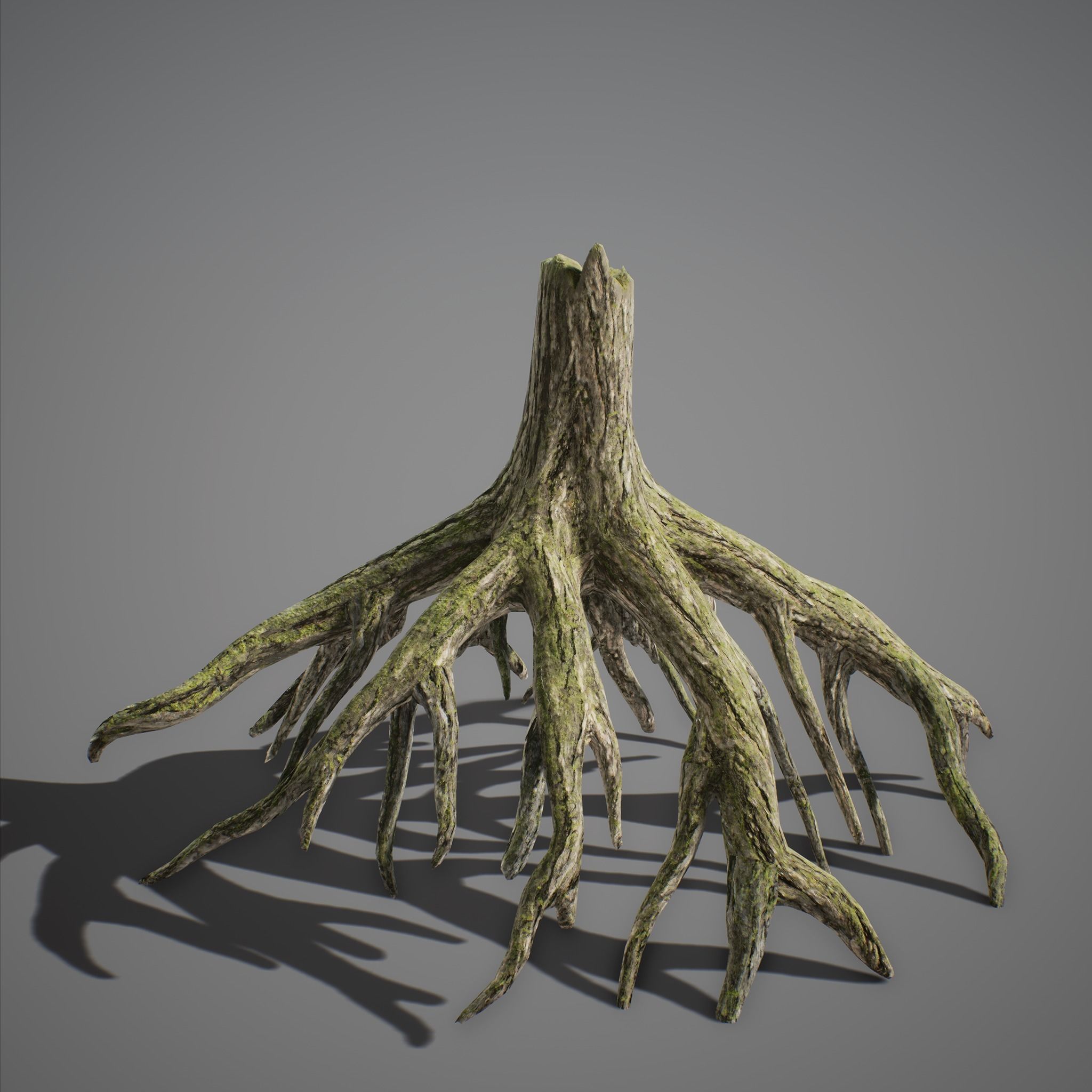 3D model UE4 - Fir Trees VR / AR / low-poly | CGTrader