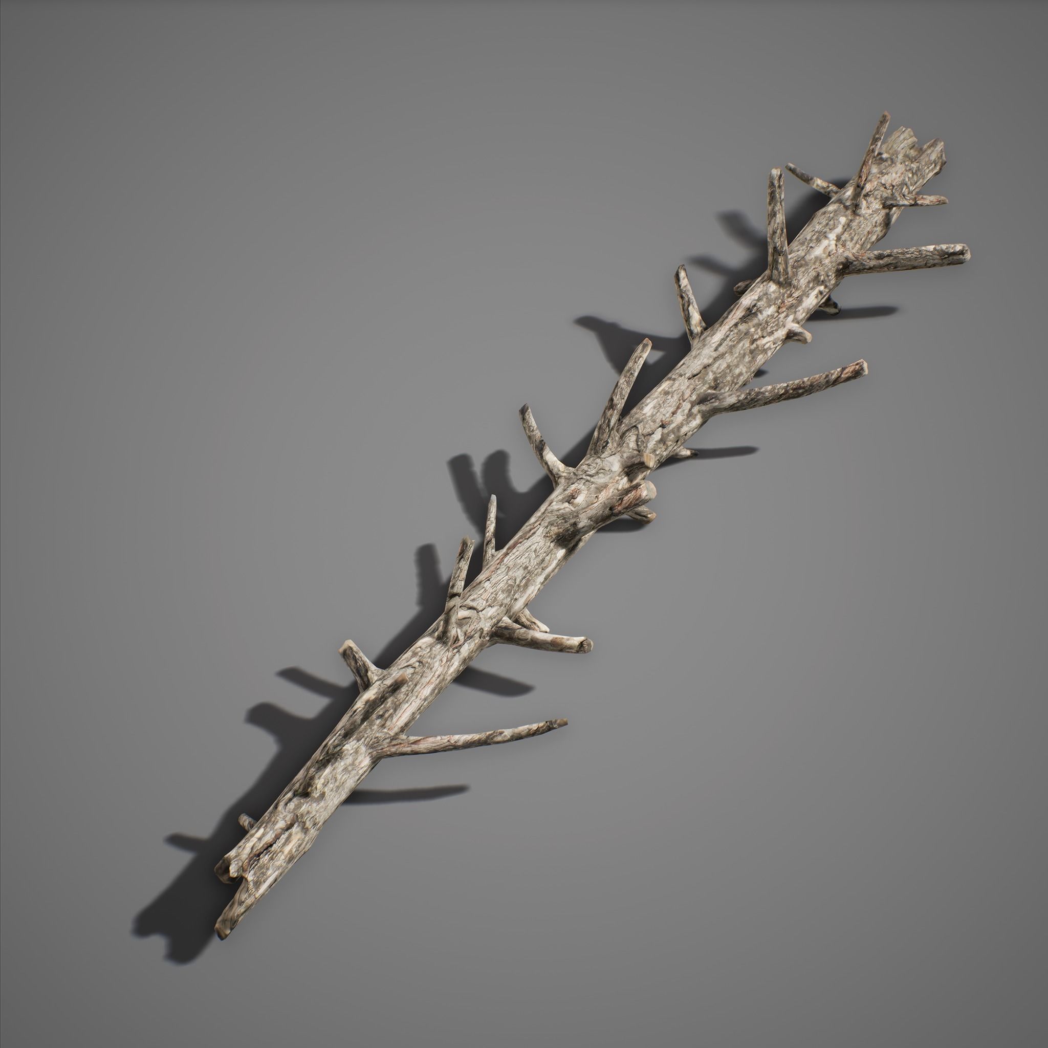 3D model UE4 - Fir Trees VR / AR / low-poly | CGTrader