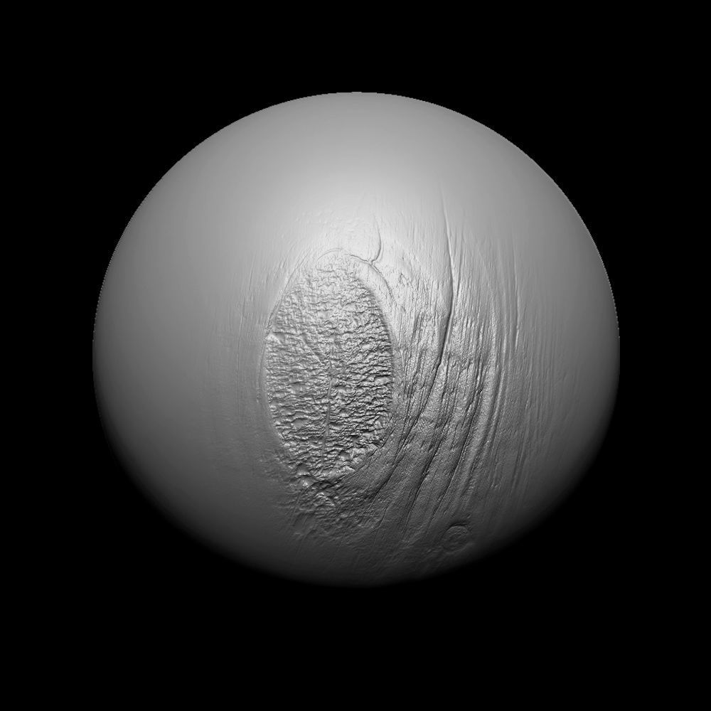 Zbrush Alpha Tree Bark Set02 Texture | CGTrader