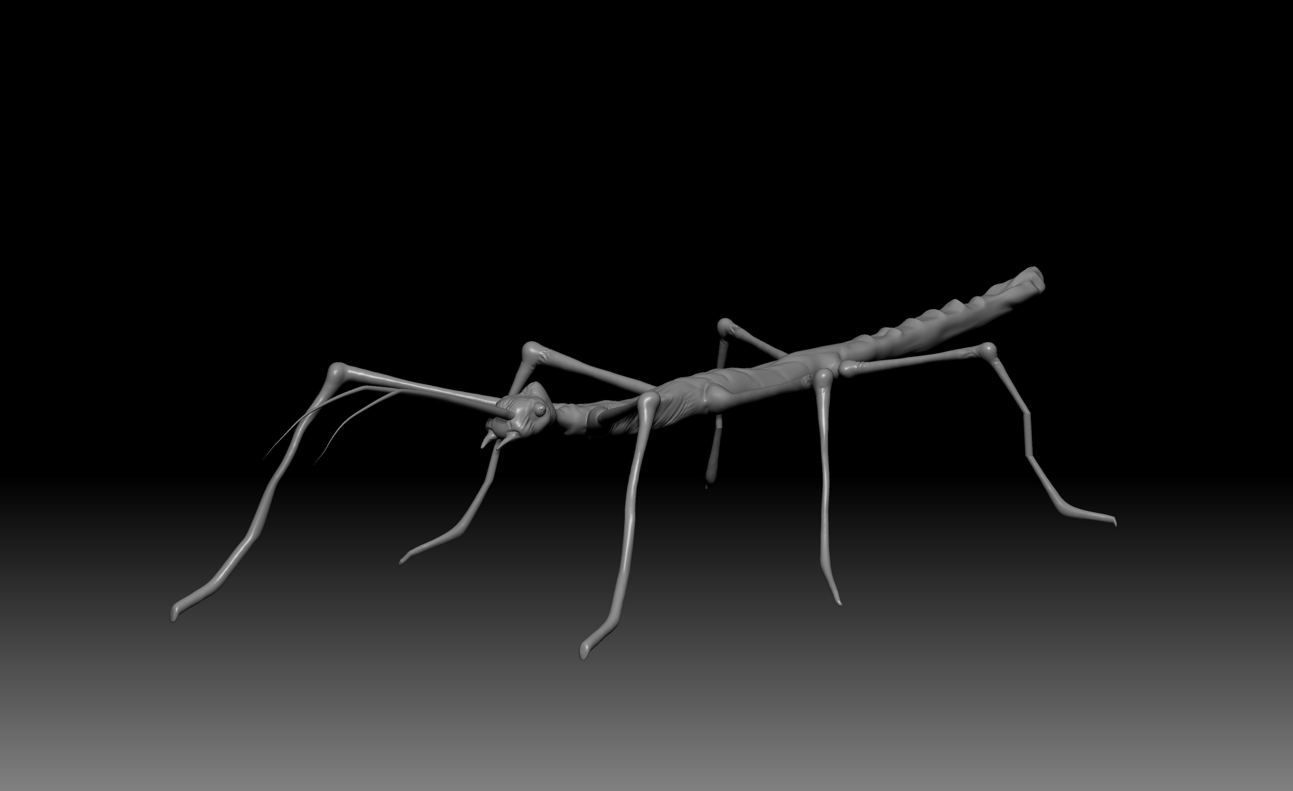 Giant Stick-Bug 3D model | CGTrader