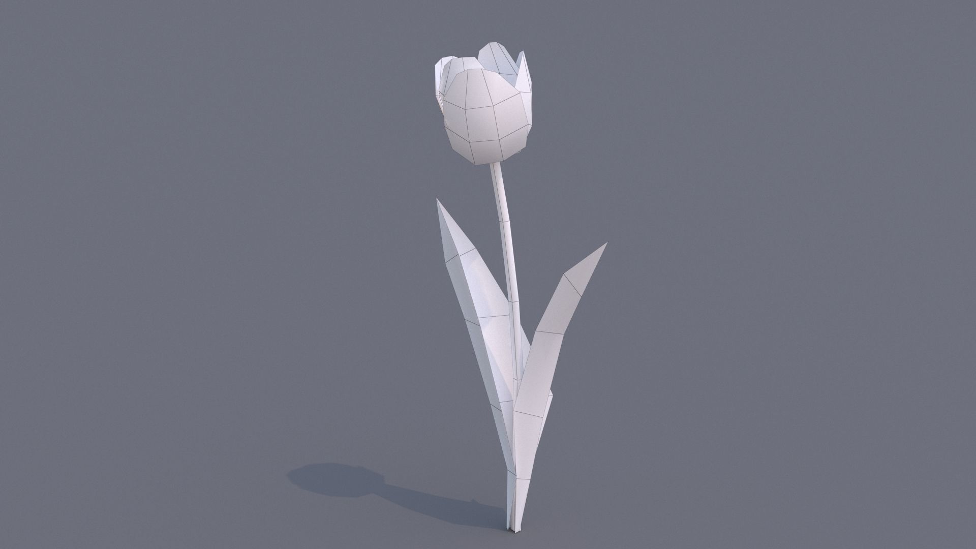 Low poly Tulip free sample free VR / AR / low-poly 3D model | CGTrader