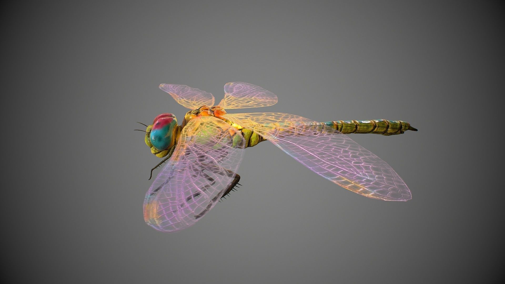 3D model Low poly detailed colorful dragonfly rigged model VR / AR ...