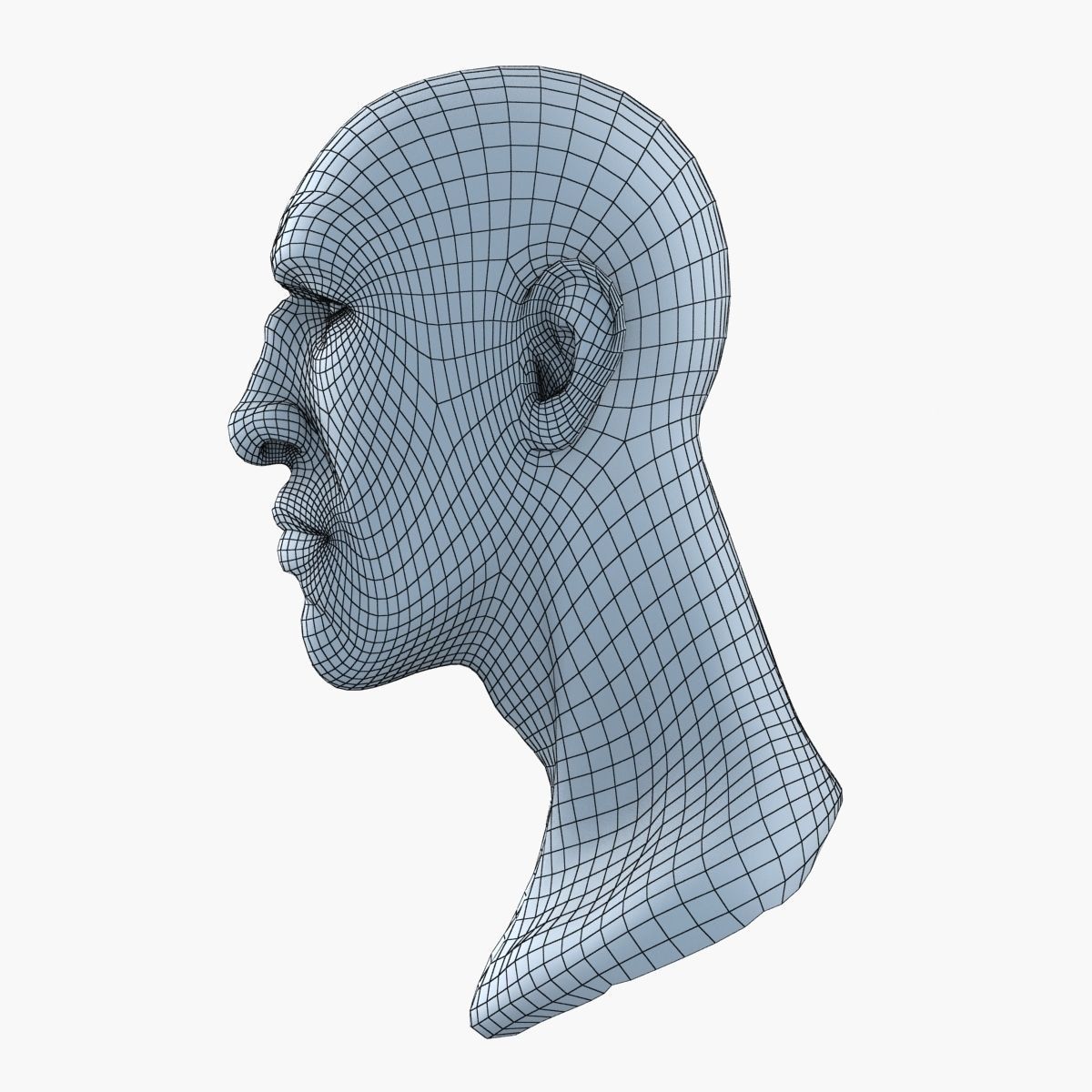 The Male Head free 3D model | CGTrader