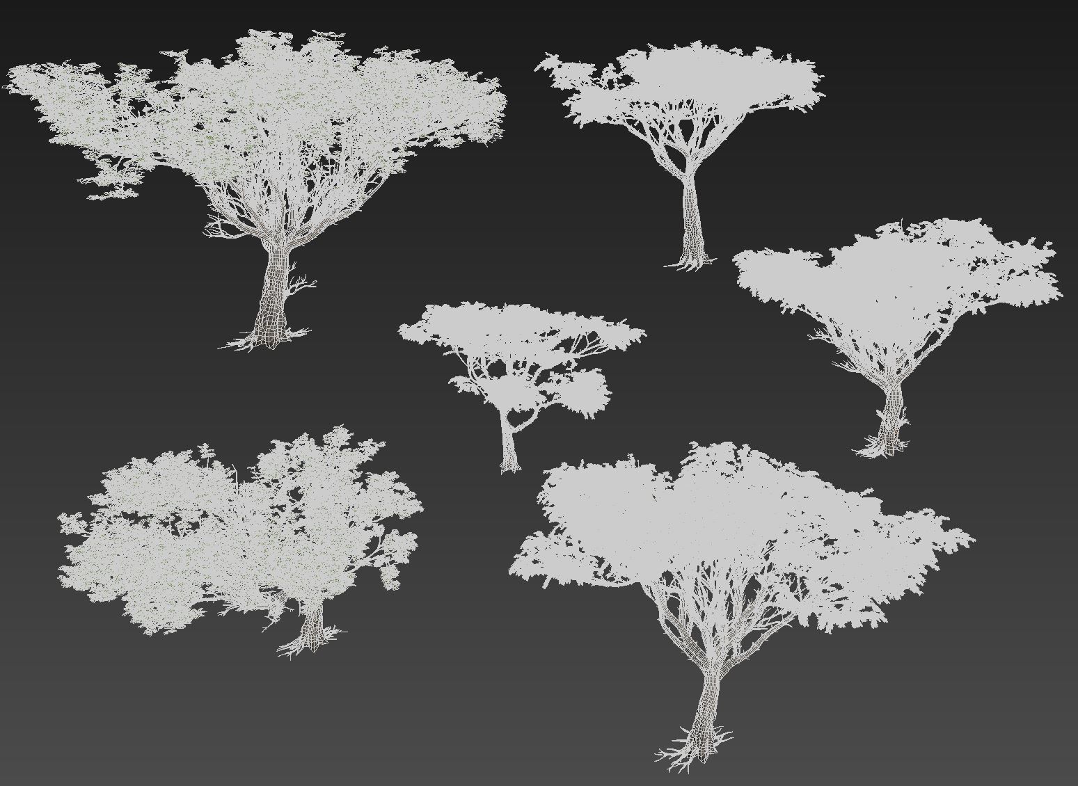Acacia tree set 3D model | CGTrader