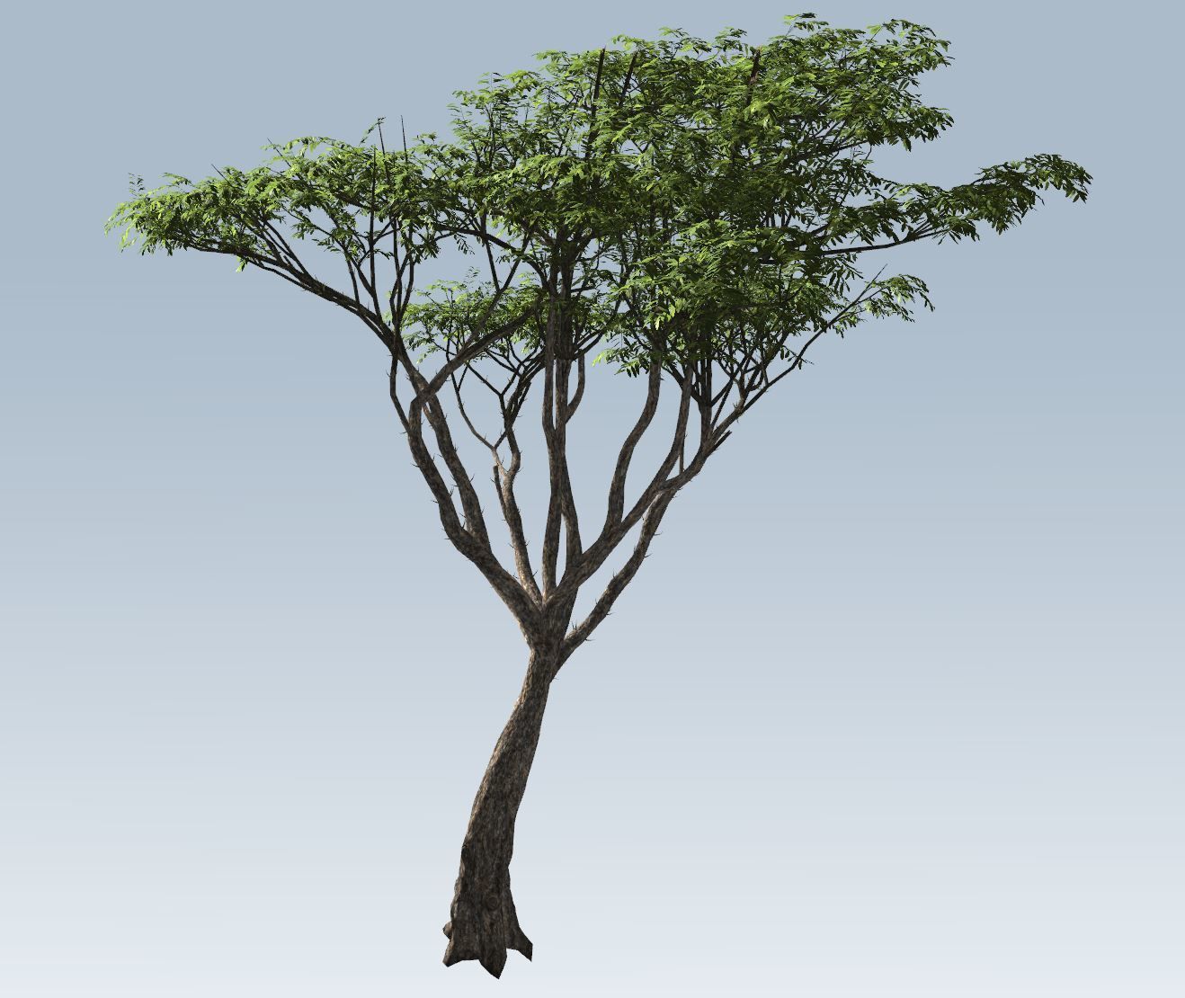 Acacia tree set 3D model | CGTrader