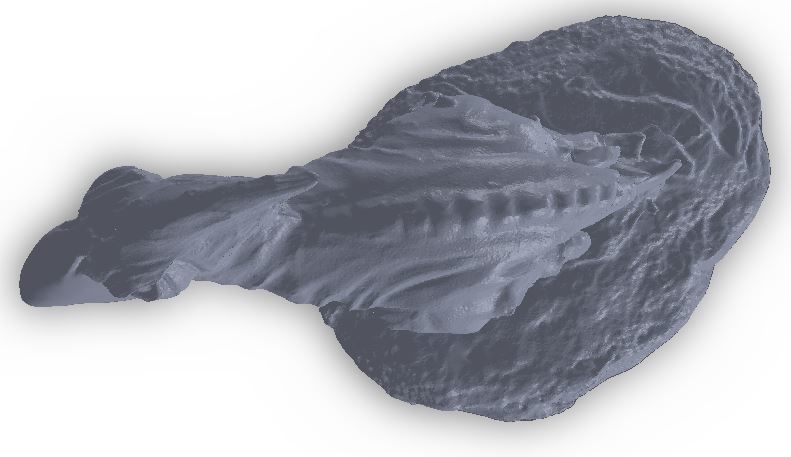 Kroot Bird - remodeled 3D model 3D printable | CGTrader