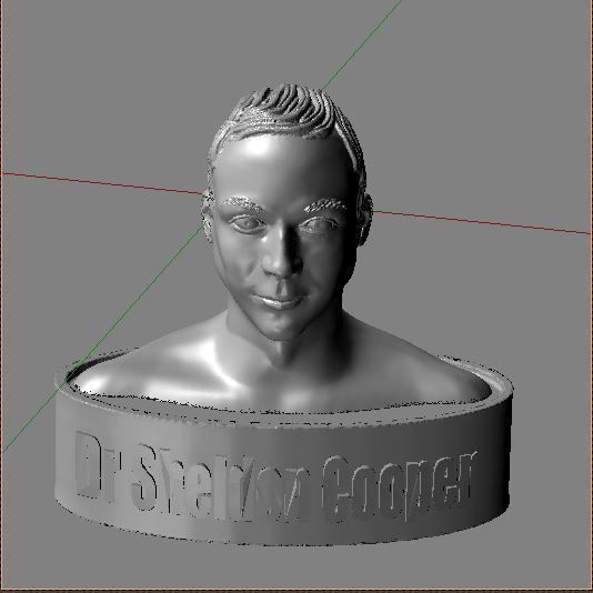 Sheldon Cooper 3D model 3D printable | CGTrader