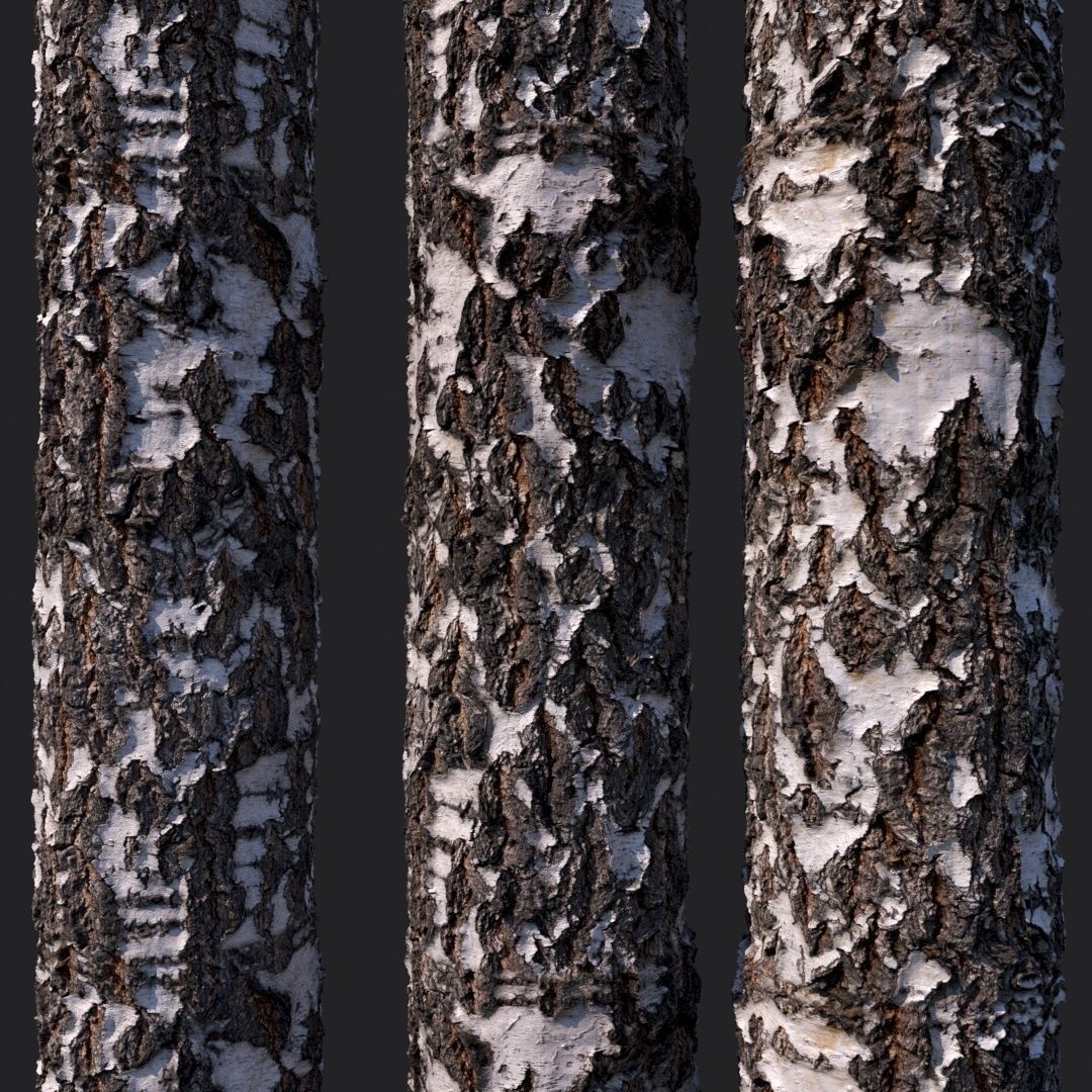 Birch Bark Material Texture | CGTrader