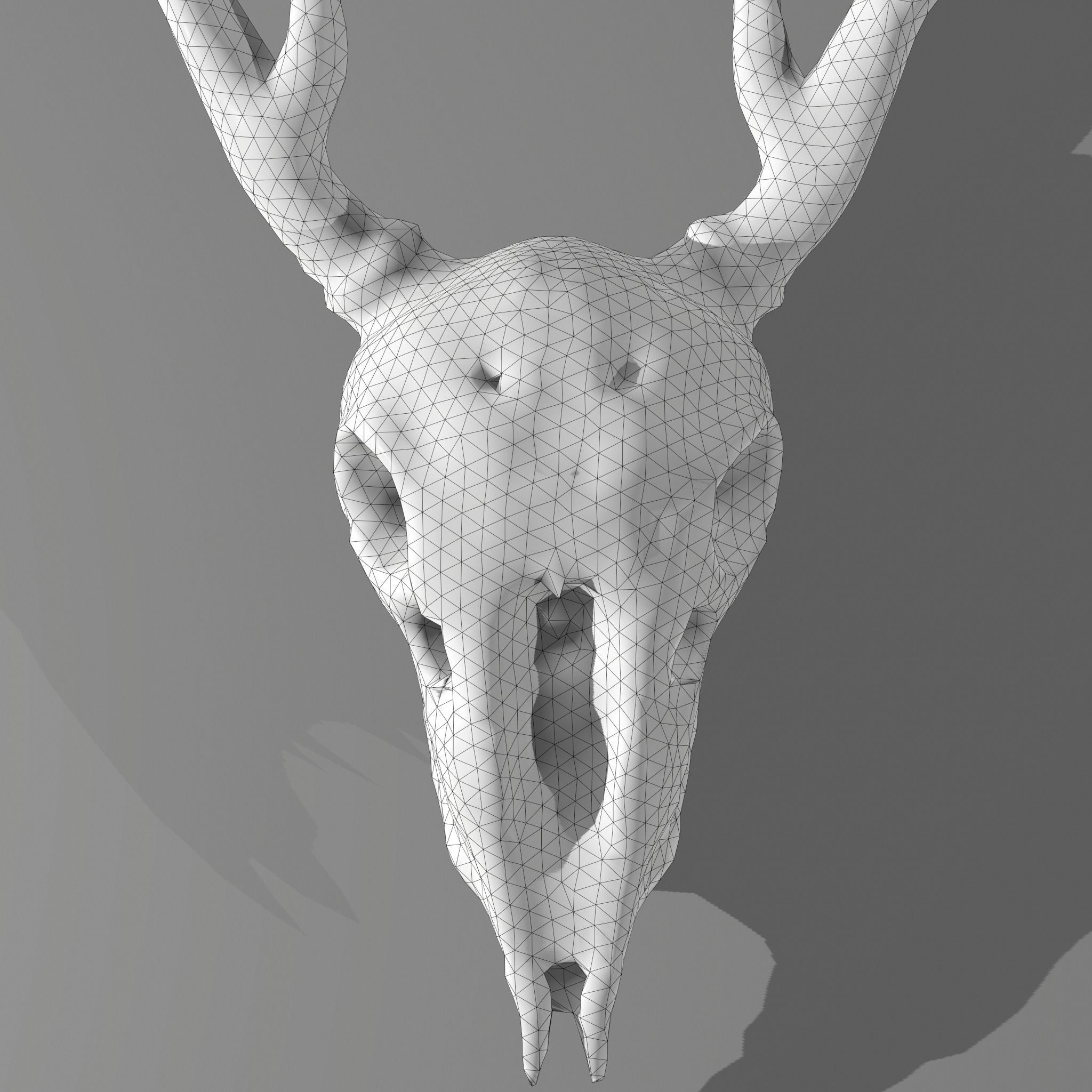 Stag Skull 3D model | CGTrader