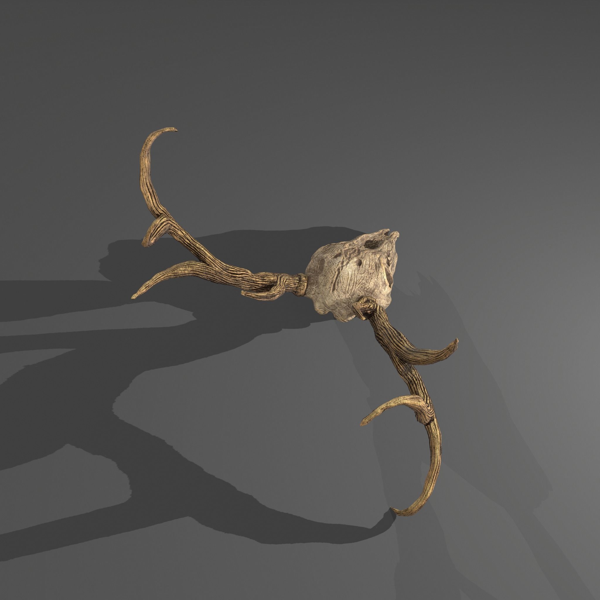 Stag Skull 3D model | CGTrader