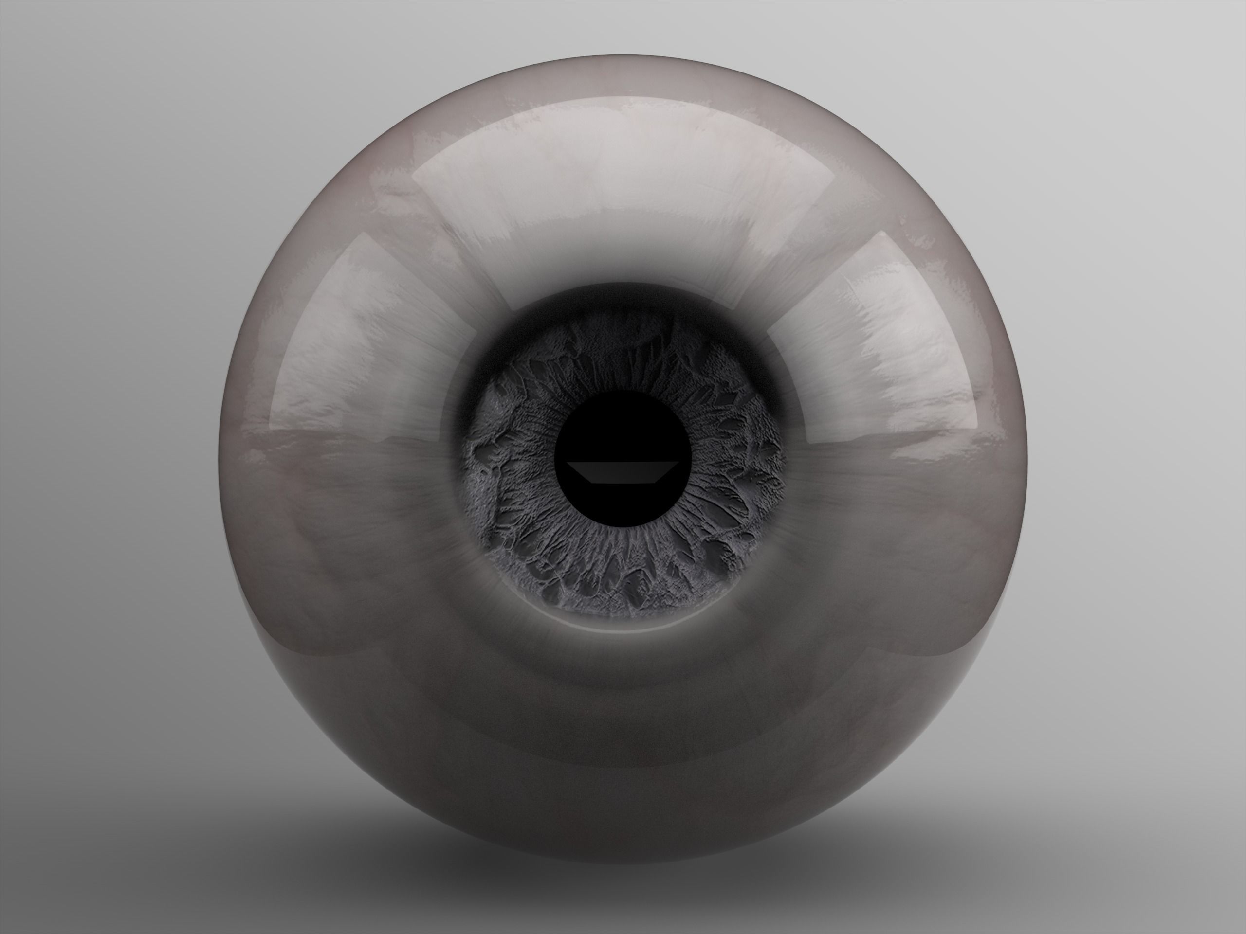Eyeball eye 3D model | CGTrader