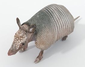 Armadillo 3D Models | CGTrader
