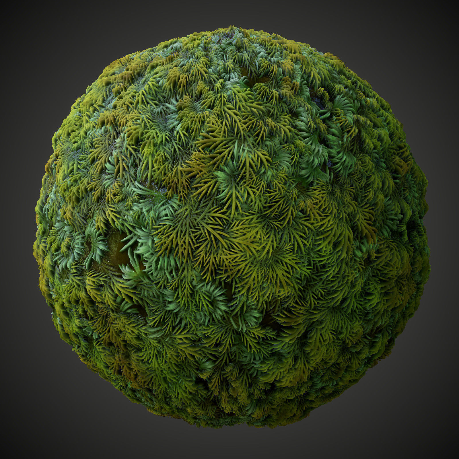 Stylized Forest Bog Materials Texture | CGTrader