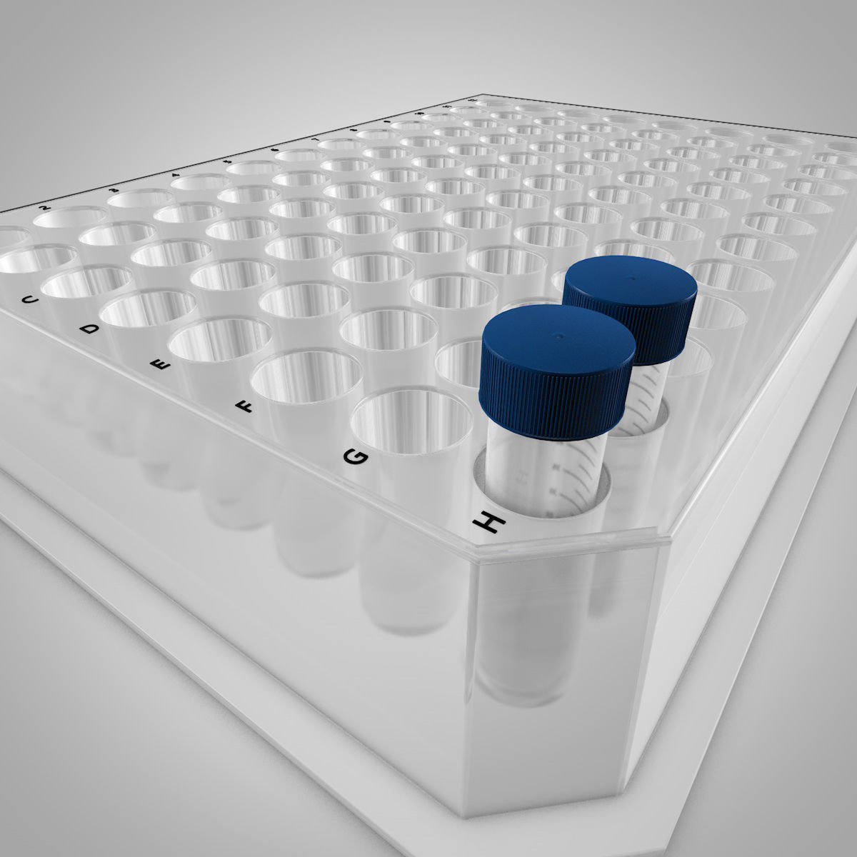 Well Plate 3D model | CGTrader