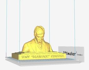 Scarface 3D Models | CGTrader