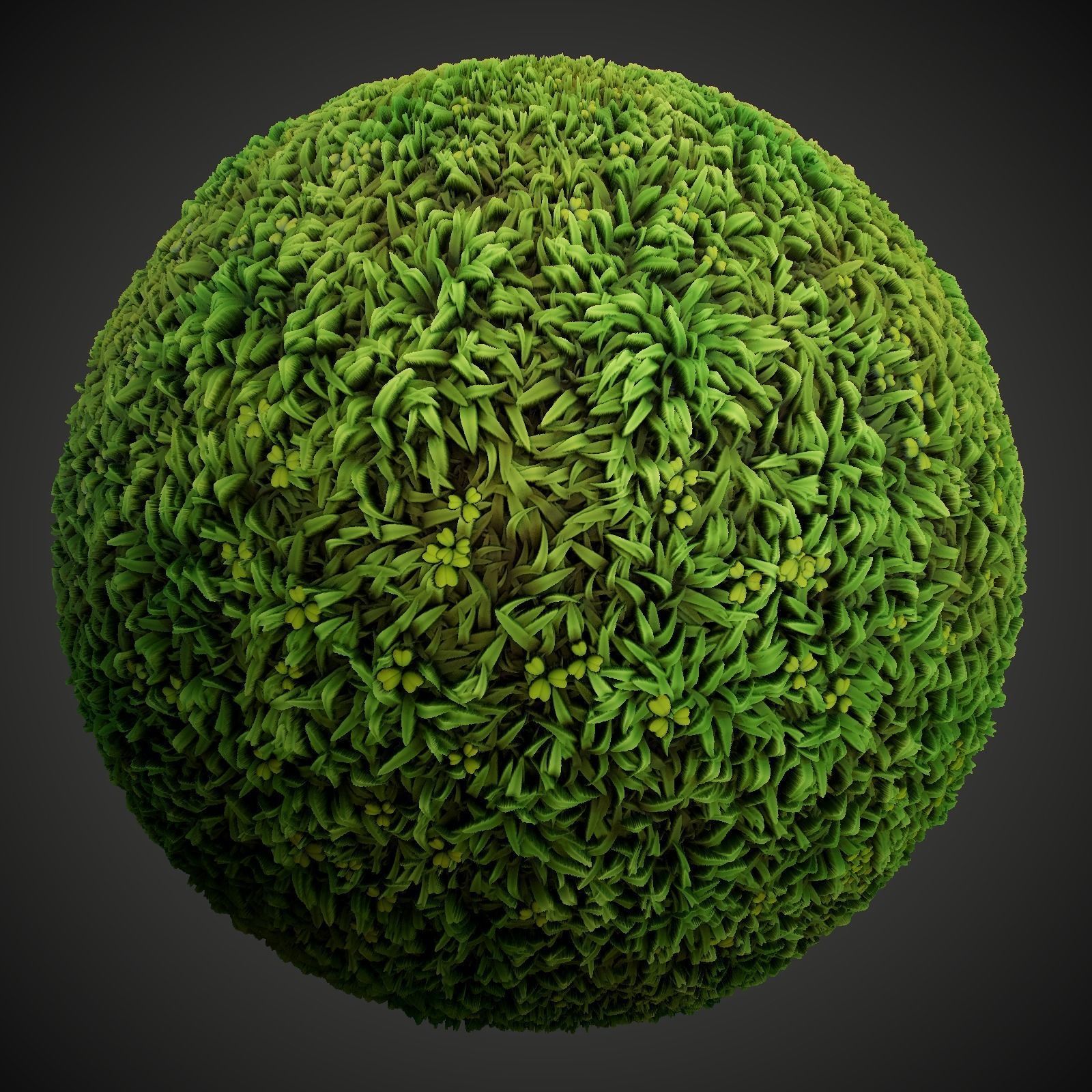 Stylized Summer Forest Materials Texture | CGTrader