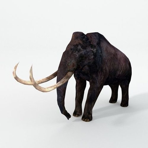 3D model Mammoth woolly with tusks VR / AR / low-poly | CGTrader