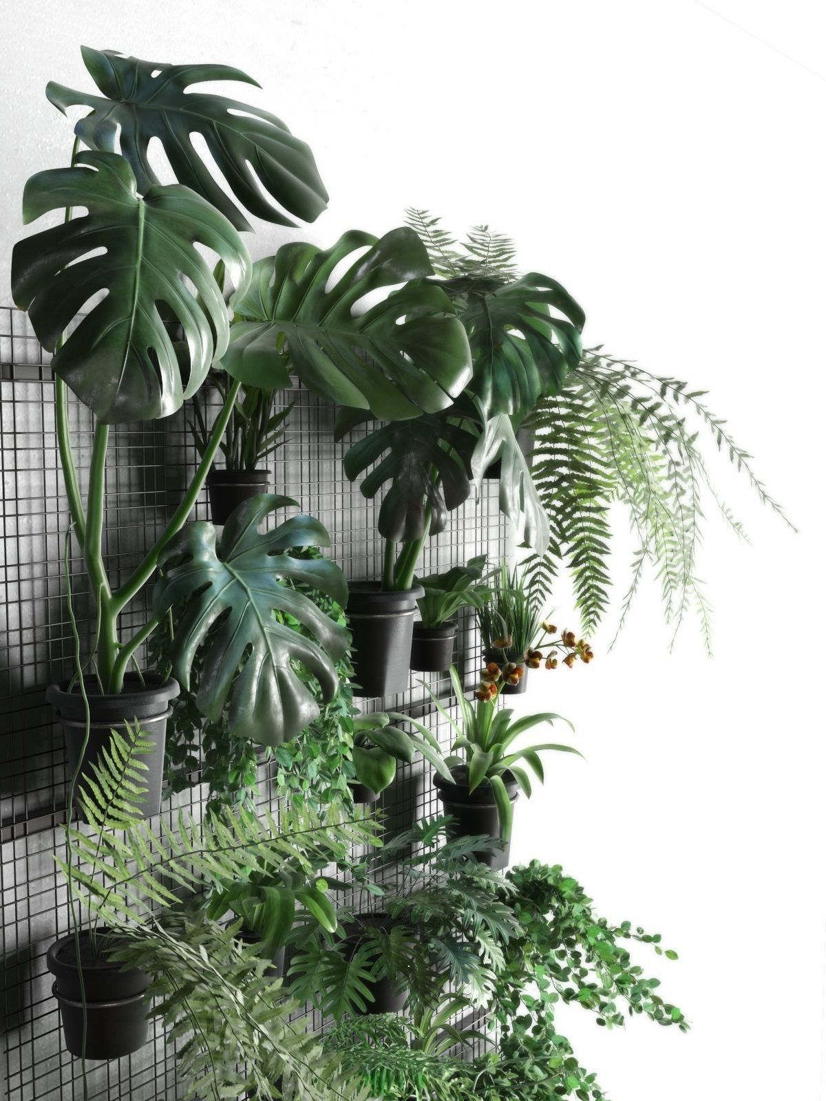 Wall Grid with Pot Plants 3D model | CGTrader
