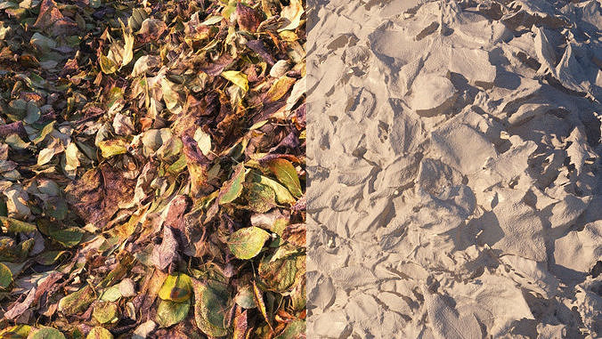 fall foliage Vray material Texture | CGTrader